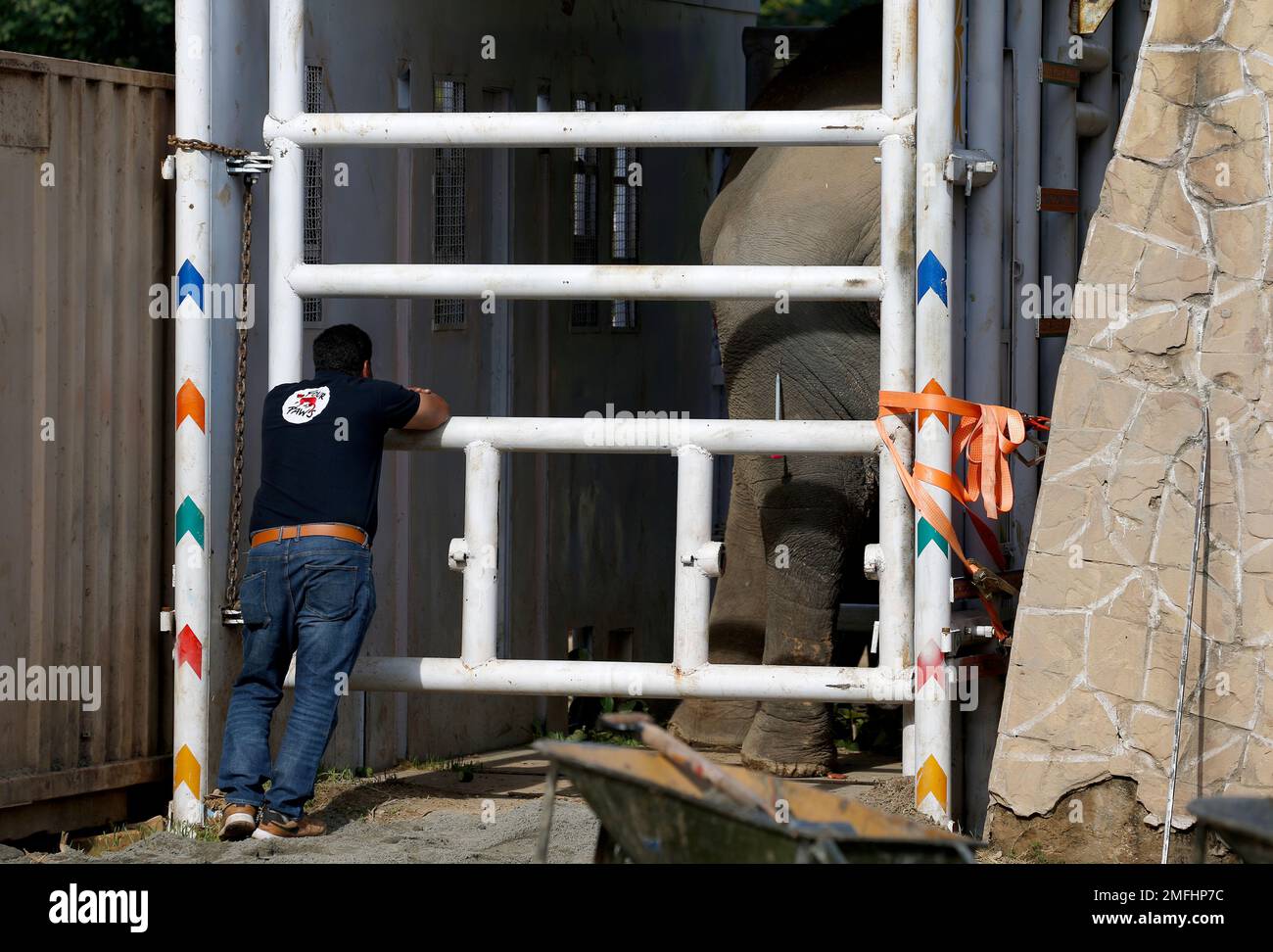 Dr. Amir Khalil, a veterinarian from Four Paws an international animal ...