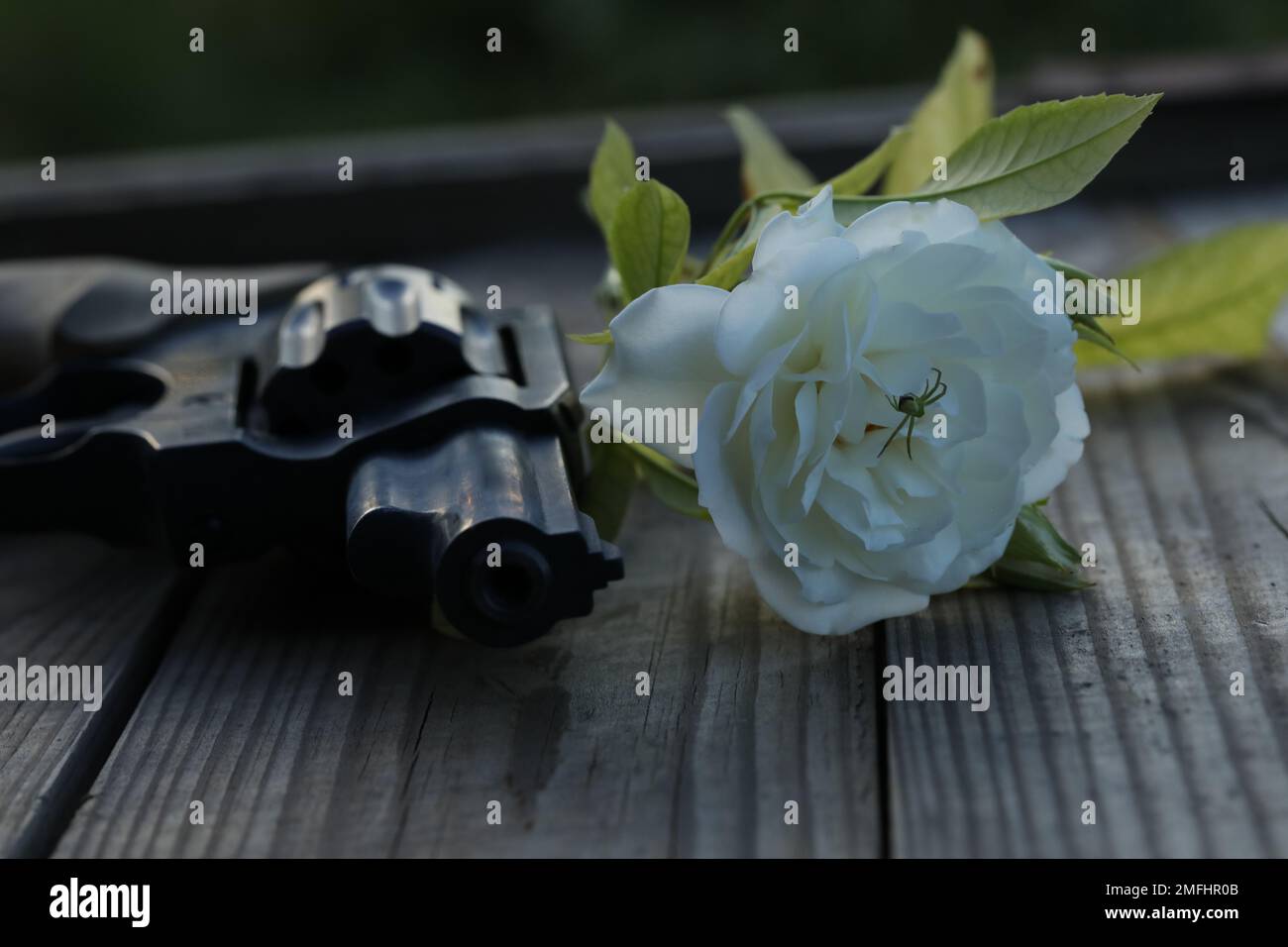art photo. vintage still life with gun and rose on wooden background ...