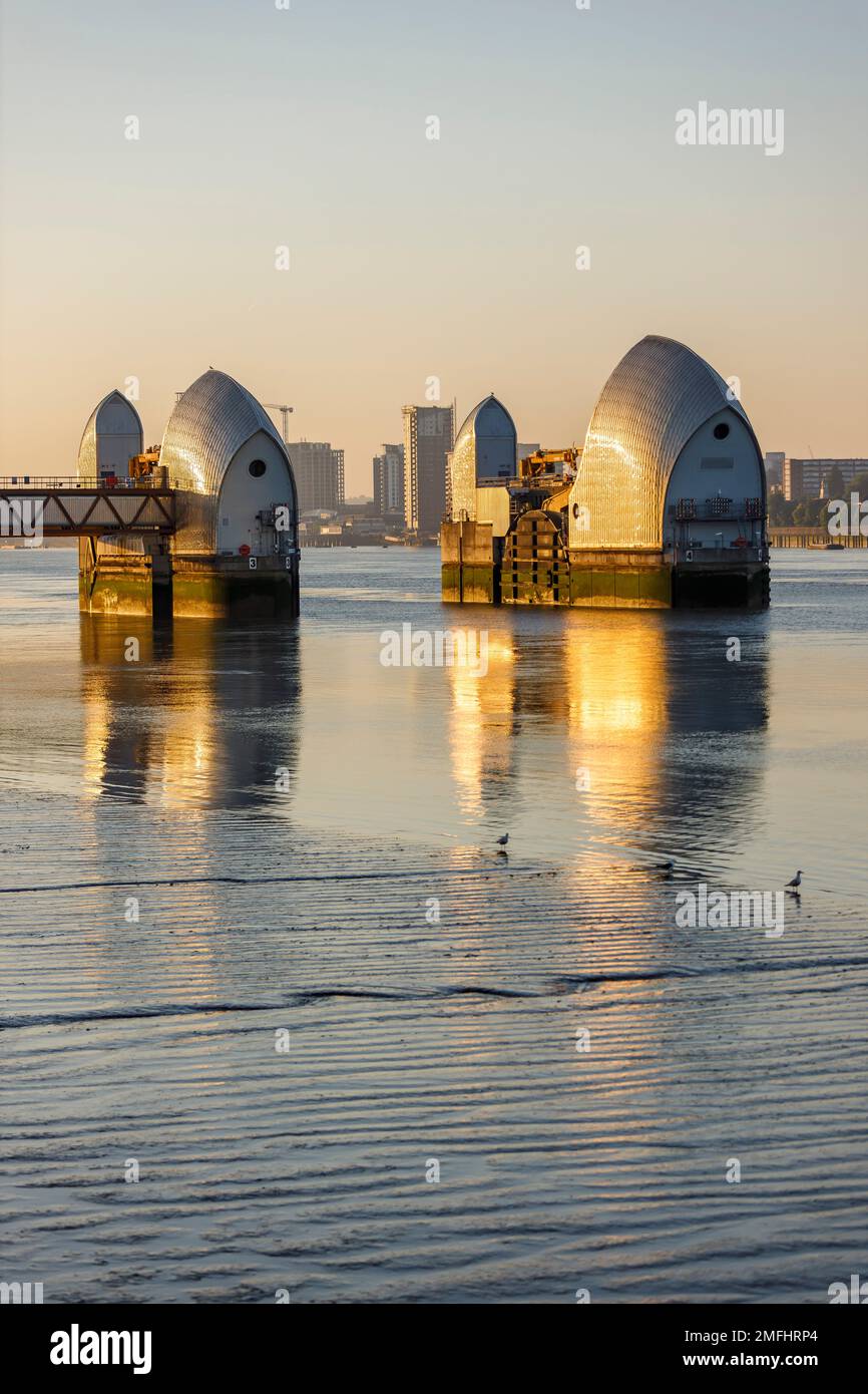 Local Area Photography East End of London, Docklands Stock Photo - Alamy
