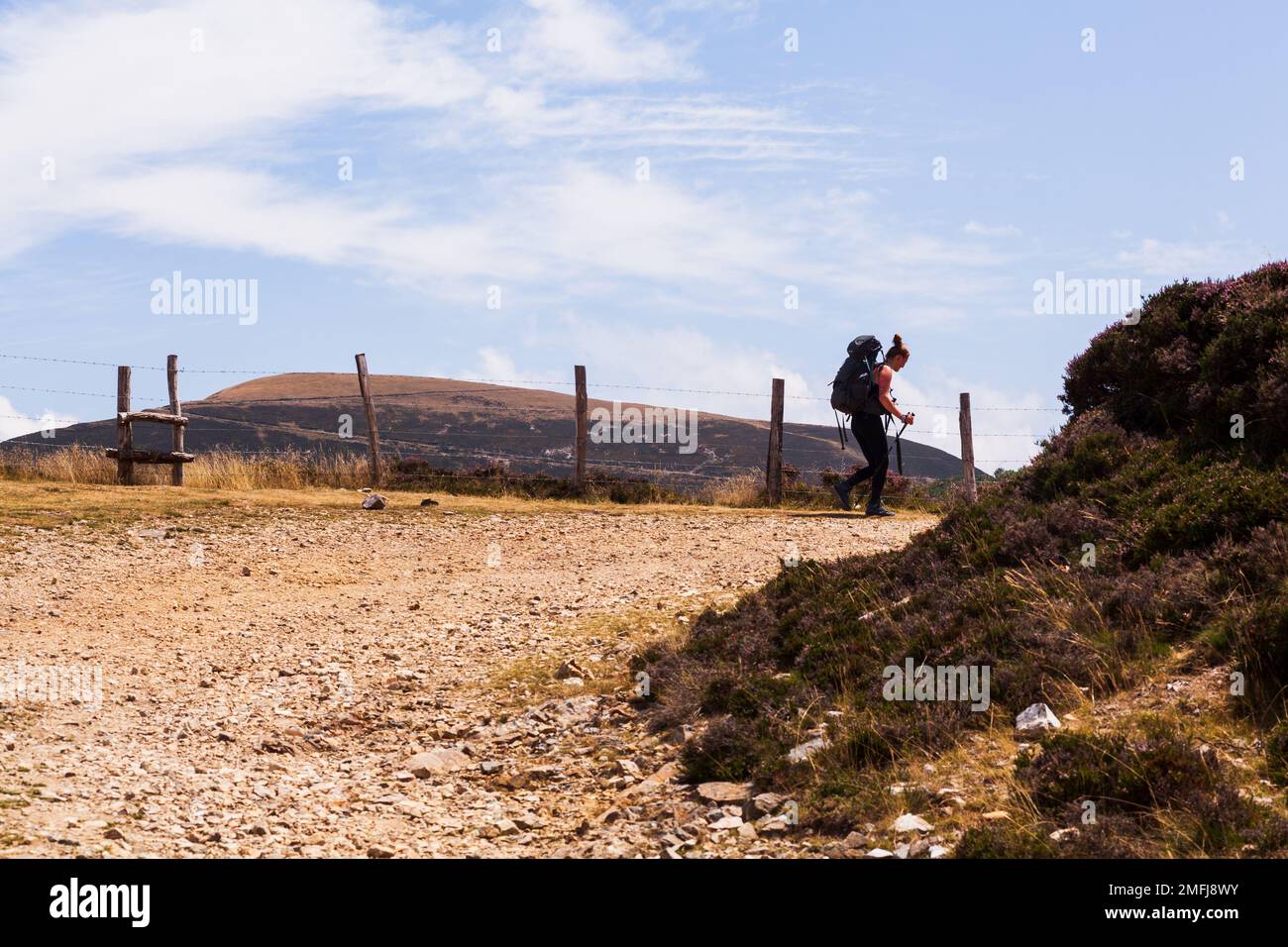 French Pyrenees, France - July 28, 2022: Pilgrim from behind along the ...