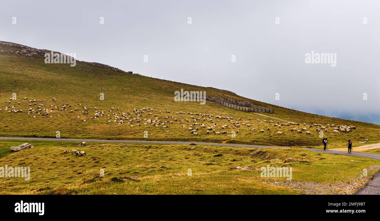 Saint-Jean-Pied-de-Port, France - July 28, 2022: Pilgrim from behind ...