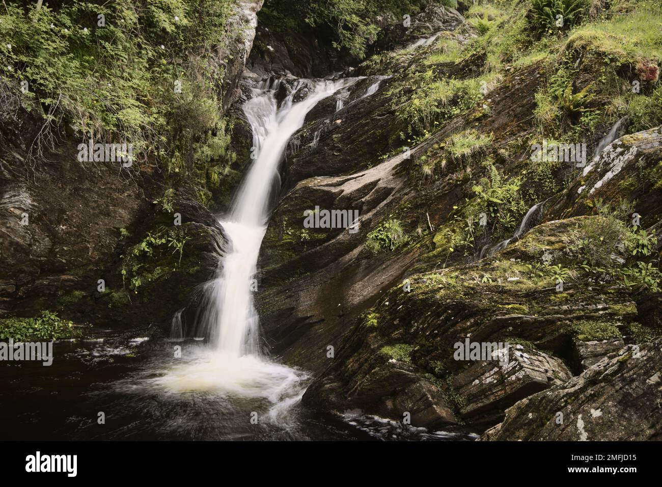 Semipelite hi-res stock photography and images - Alamy