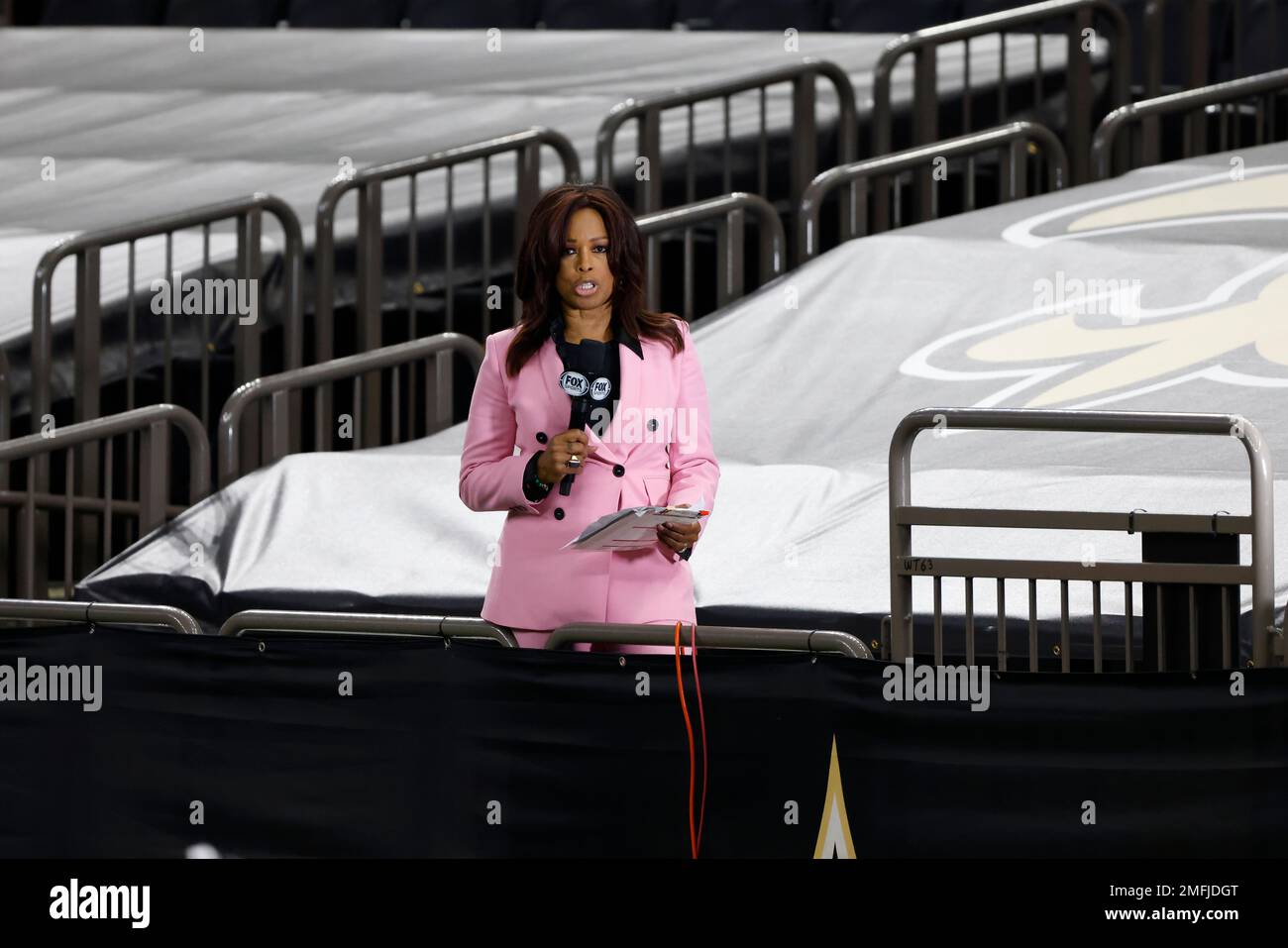 FOX Sports reporter Pam Oliver during an NFL football game between the ...