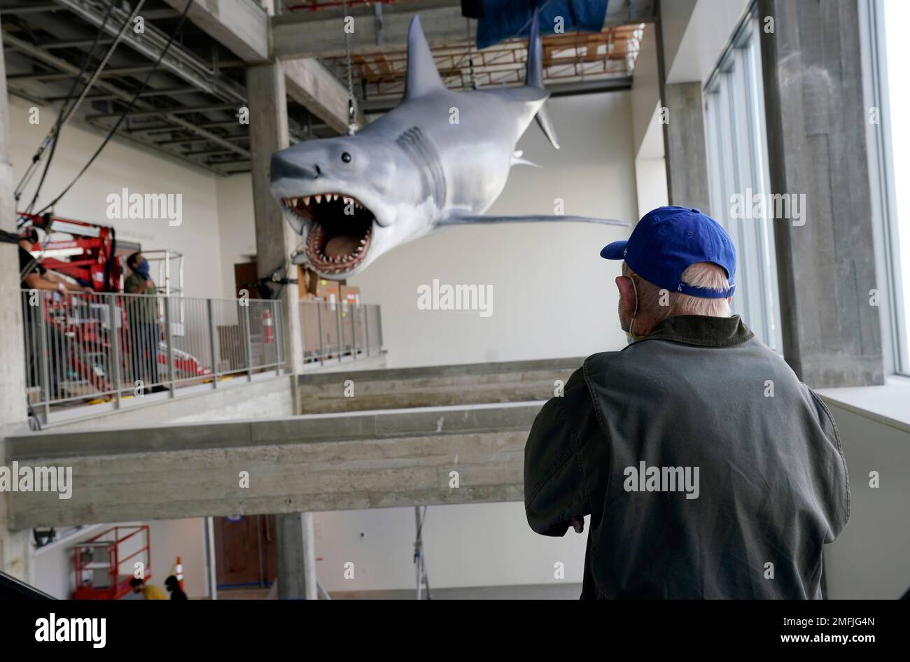 A man looks at a fiberglass replica of Bruce, the shark featured in ...