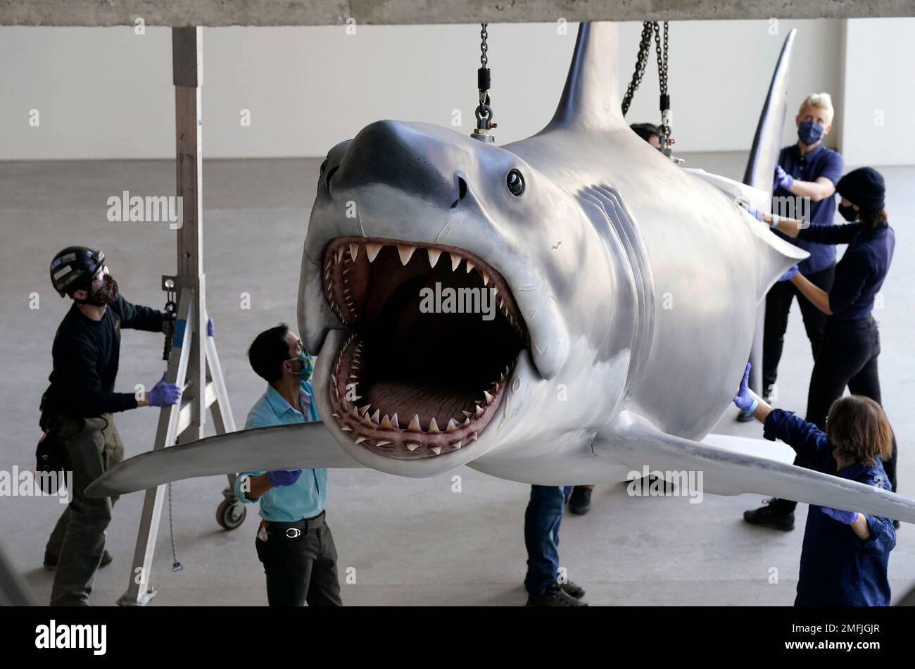 A fiberglass replica of Bruce, the shark featured in Steven Spielberg's ...