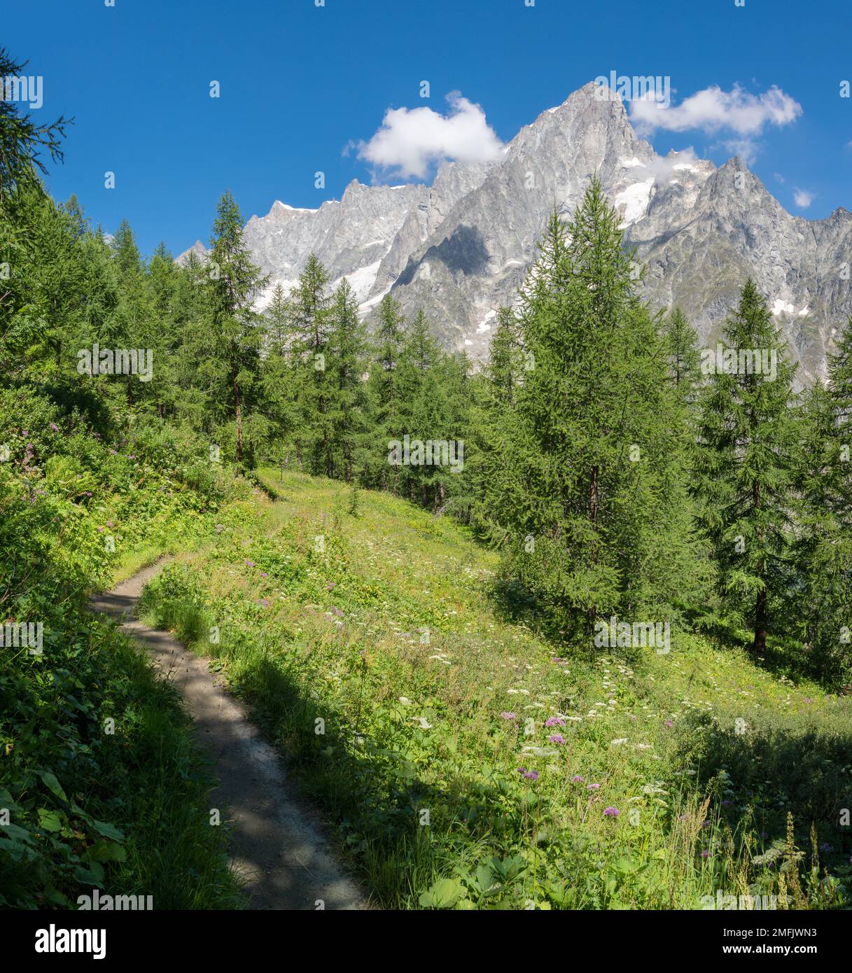 The Grand Jorasses massif from Val Ferret valley in Italy - Trekking ...