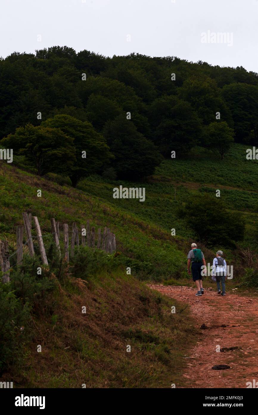 Couple of Pilgrims along the path of the Camino de Santiago in the ...