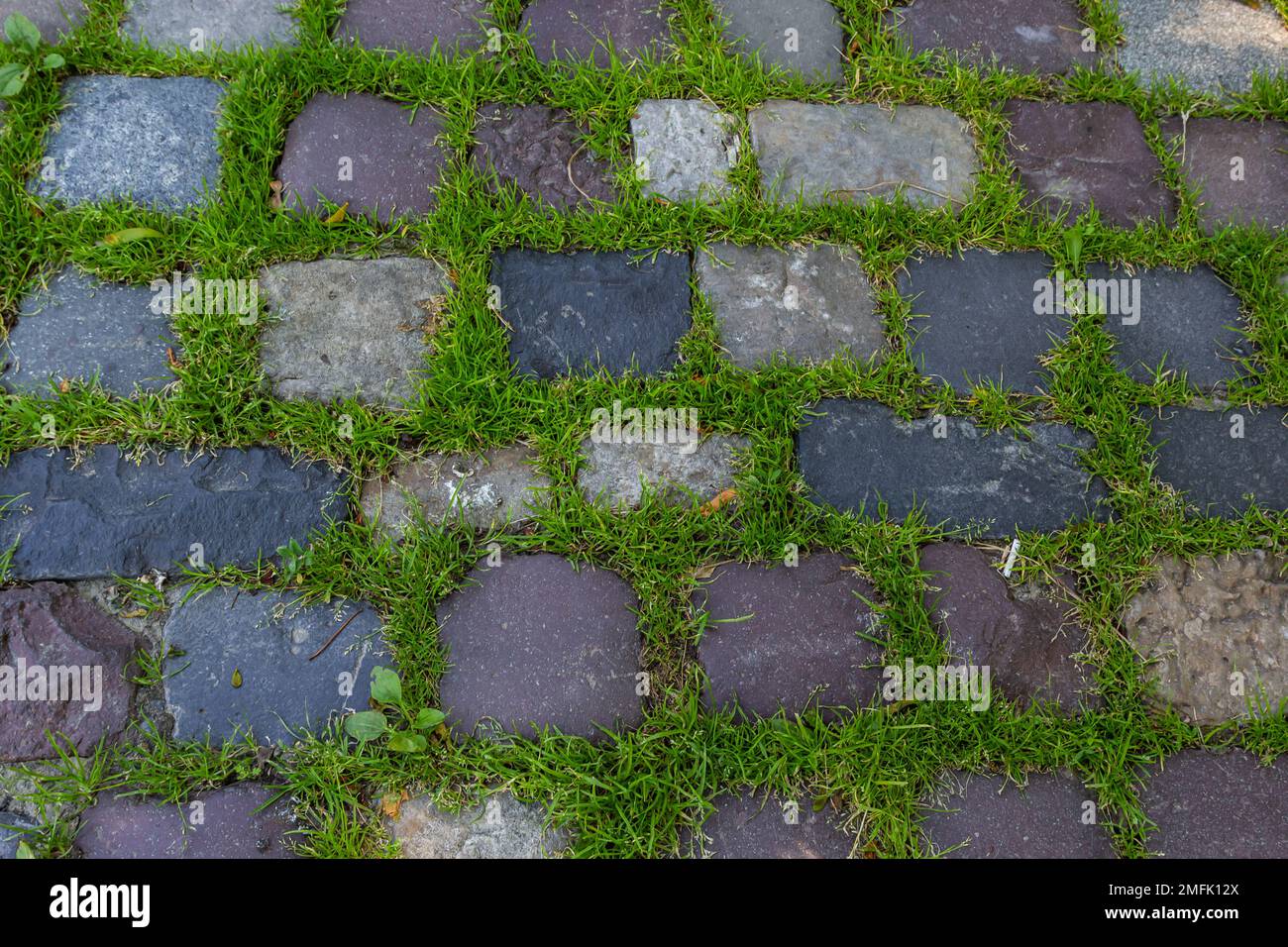 Cobblestone on the road with green grass. Background image on the theme ...