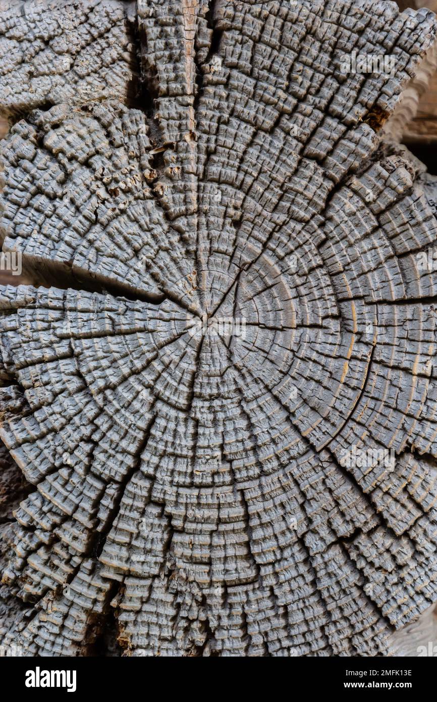 Timber cladding detail hi-res stock photography and images - Alamy