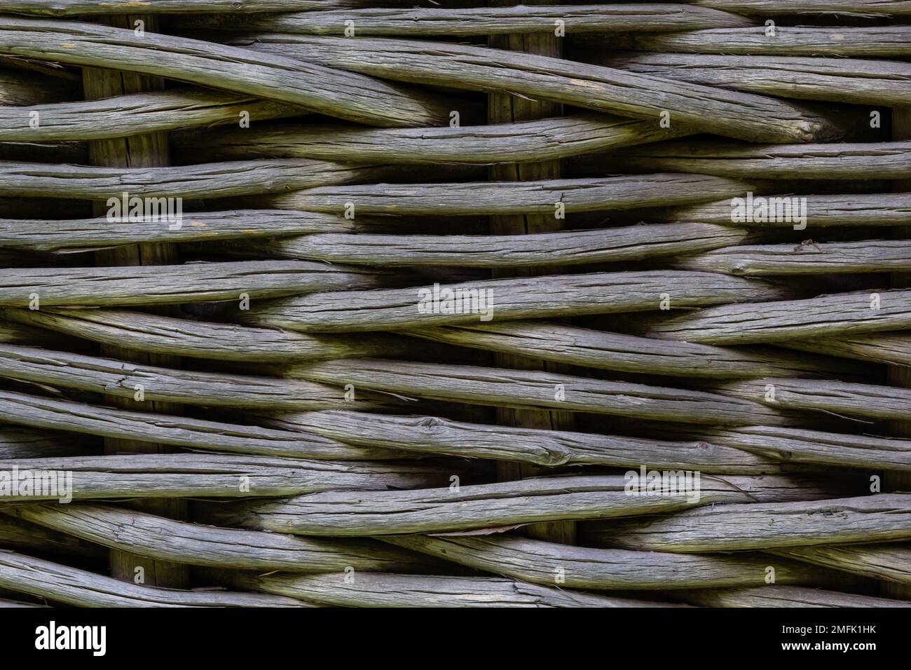 The fence is woven from dry branches, close-up. Weaving from dry willow ...