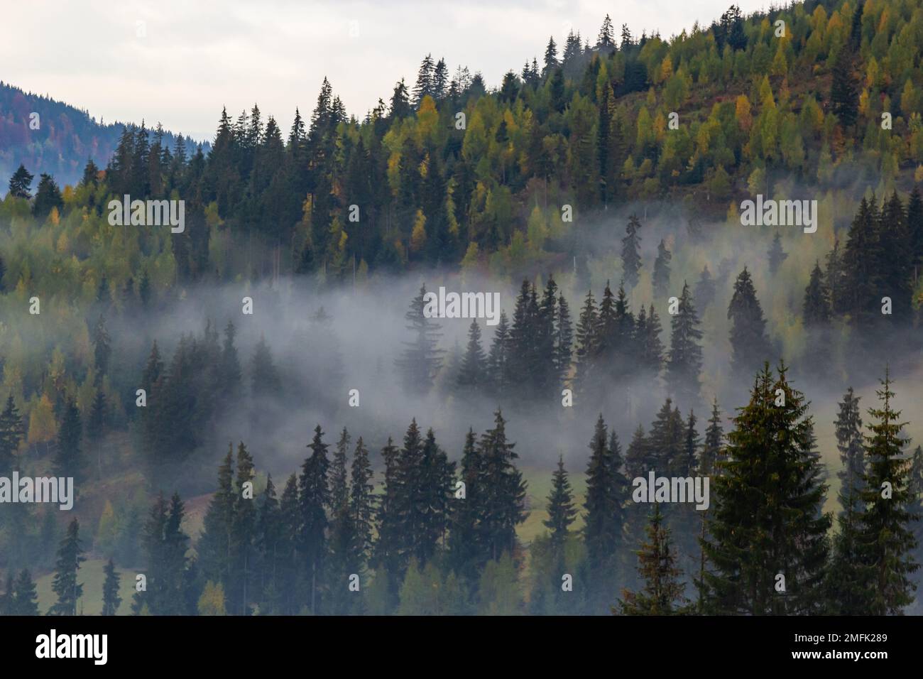 Pine valley map hi-res stock photography and images - Alamy