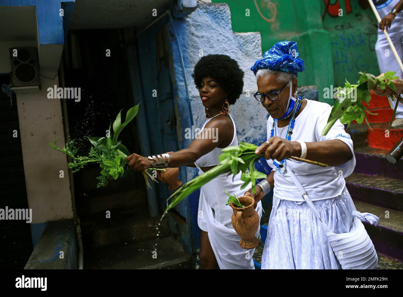 Members of the Mocidade Unida do Santa Marta samba school perform a ...