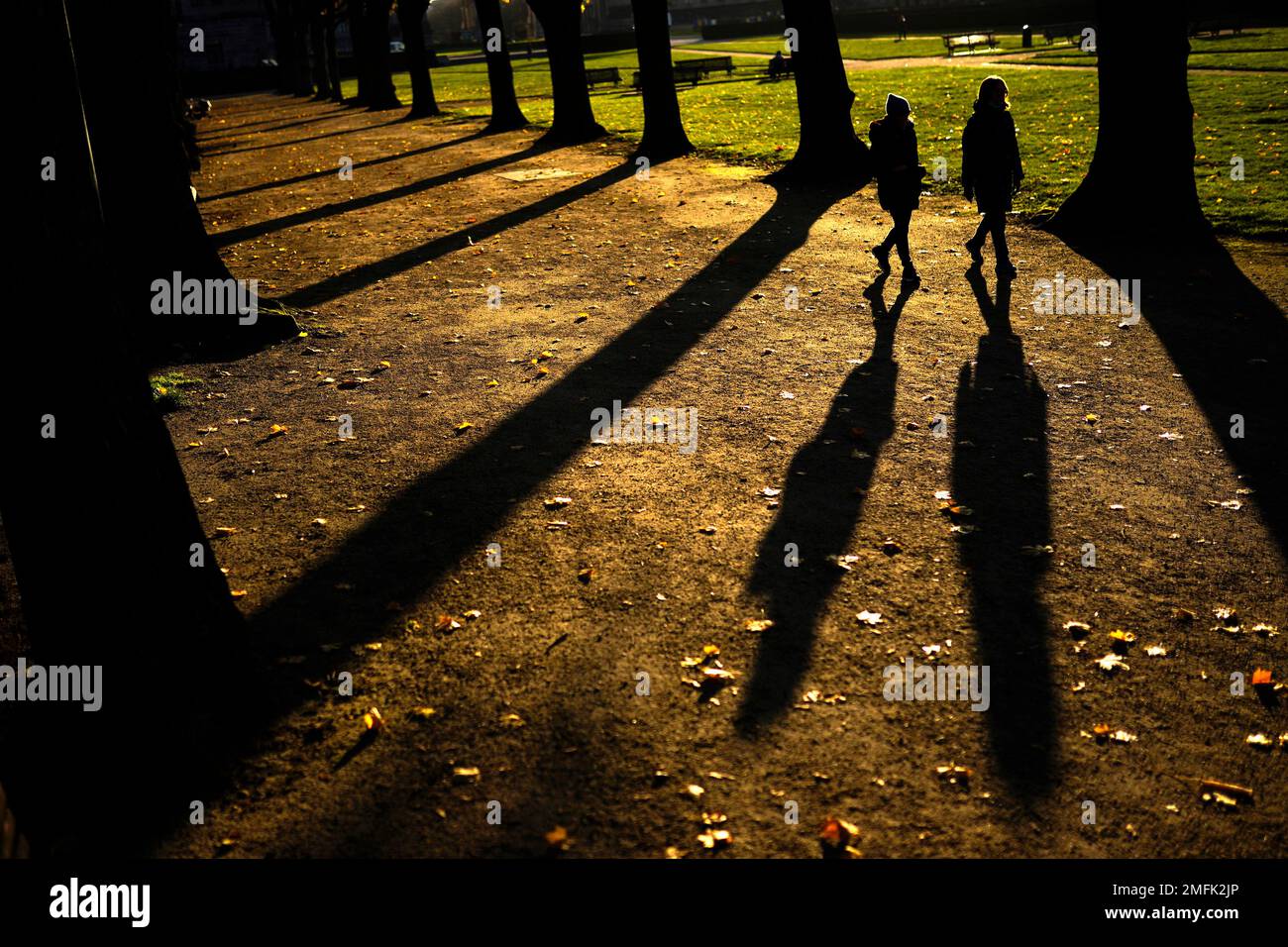 People cast long shadows as the sun rises at Cinquantenaire park in Brussels, Friday, Nov. 20 ...