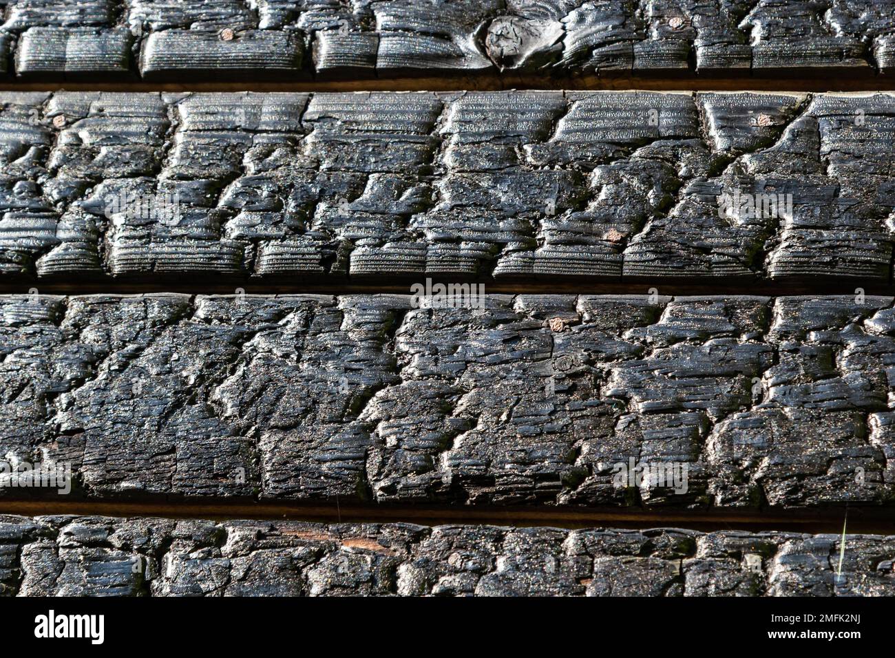 BBQ background. Burnt wooden Board texture. Burned scratched hardwood ...