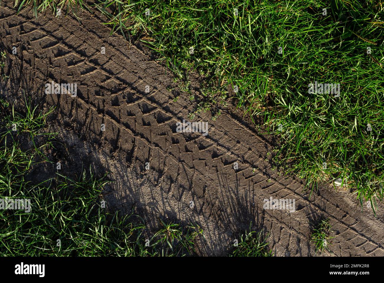 Deep tractor tire trail on a green grass in a field, Agriculture ...