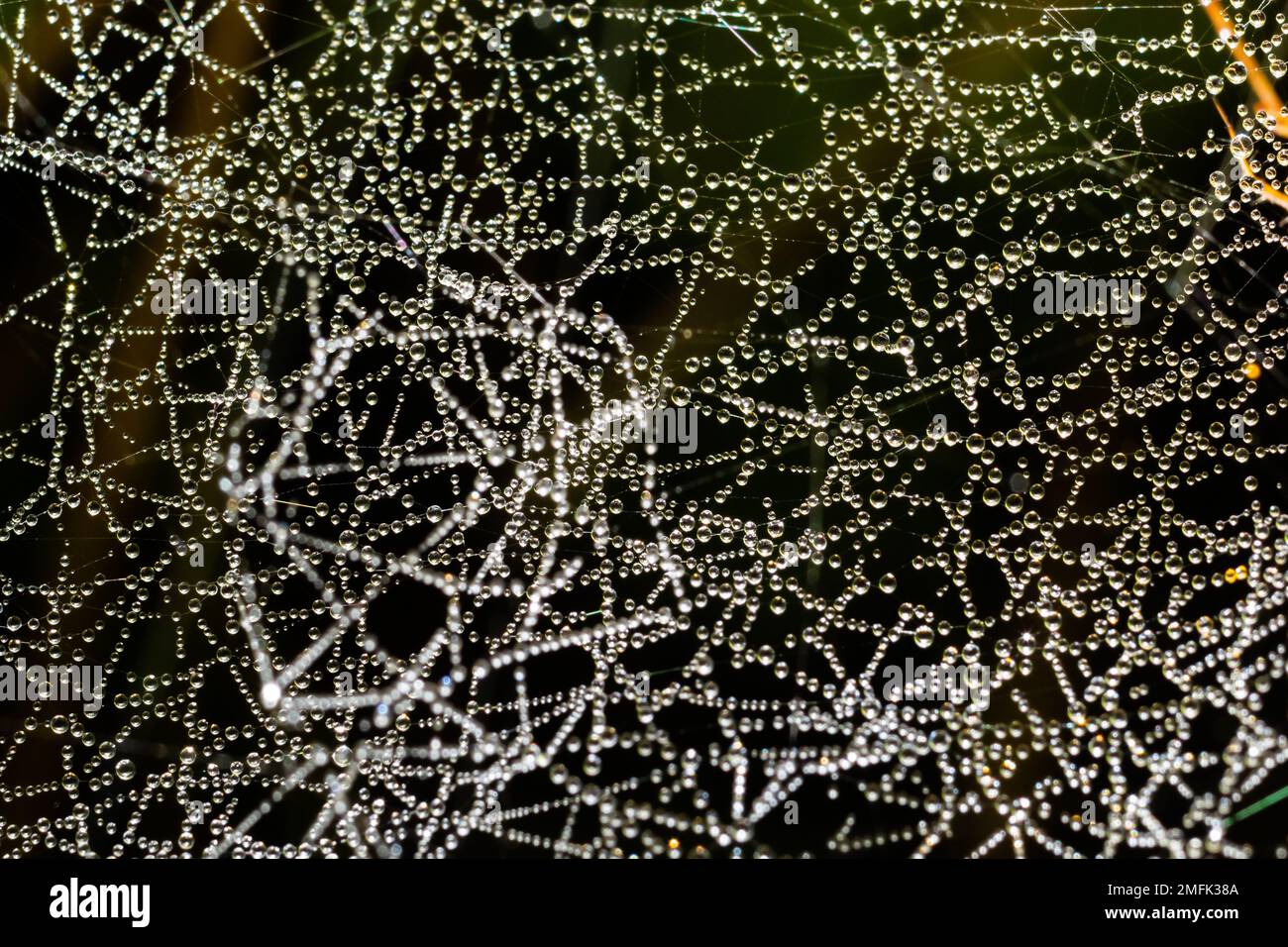 Wet pattern hi-res stock photography and images - Alamy