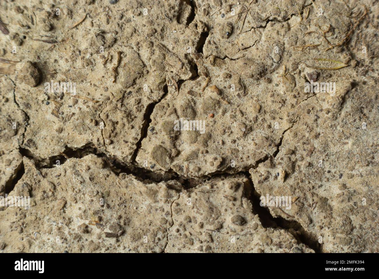 The ground has cracks in the top view for the background or graphic ...