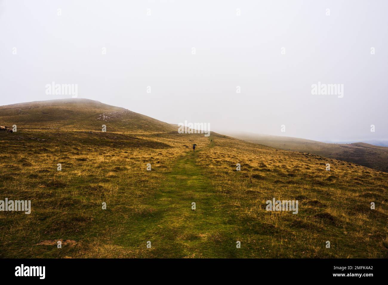 Pilgrims from behind along the Camino de Santiago. Path of the way of ...