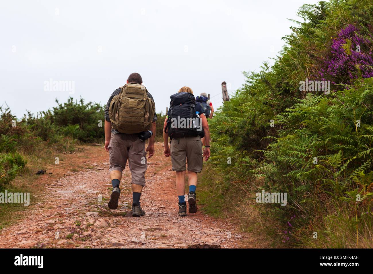 Couple of Pilgrims along the Camino de Santiago. Path of the way of St ...