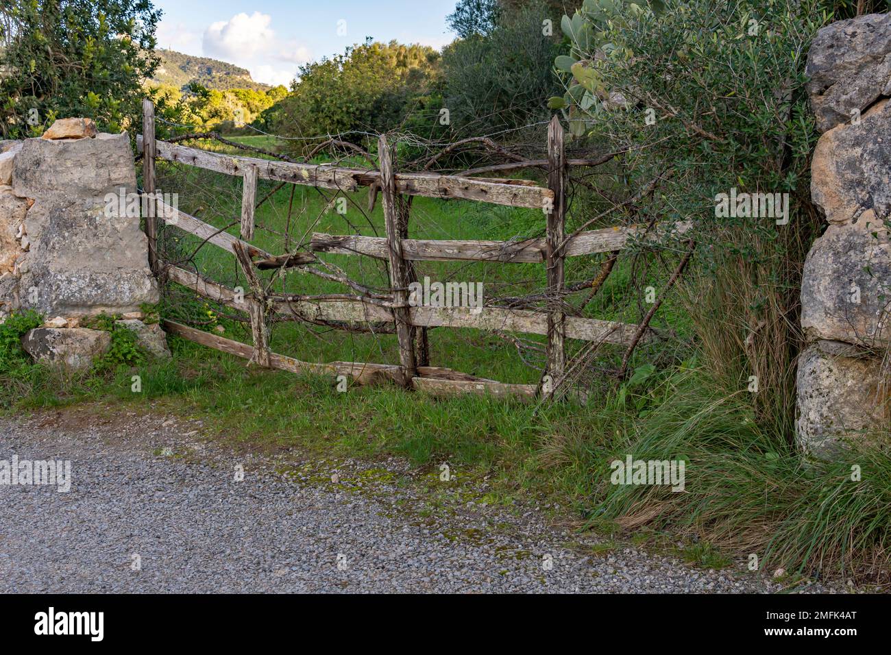 Old wooden fence enclosing a crop field on a sunny winter morning on ...