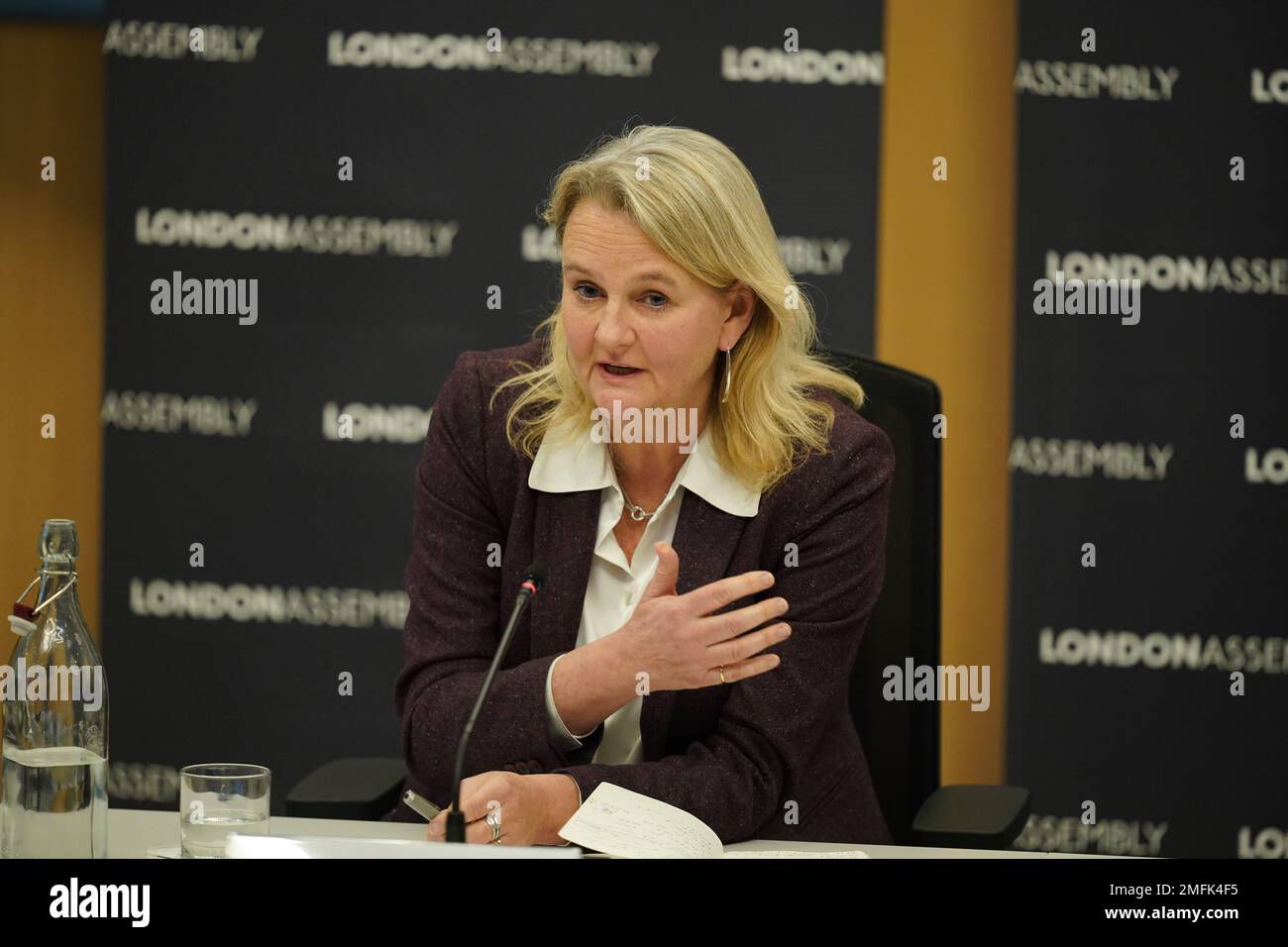 Metropolitan Police Commissioner Sir Mark Rowley appearing before the ...