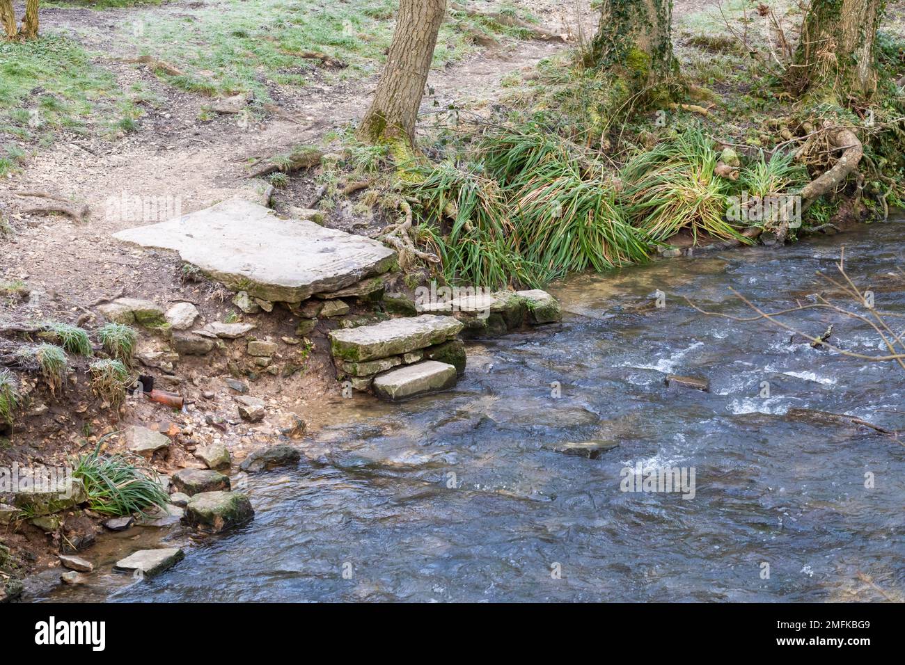 Closeup view of the Corfe River near Corfe Castle in Dorset, England ...