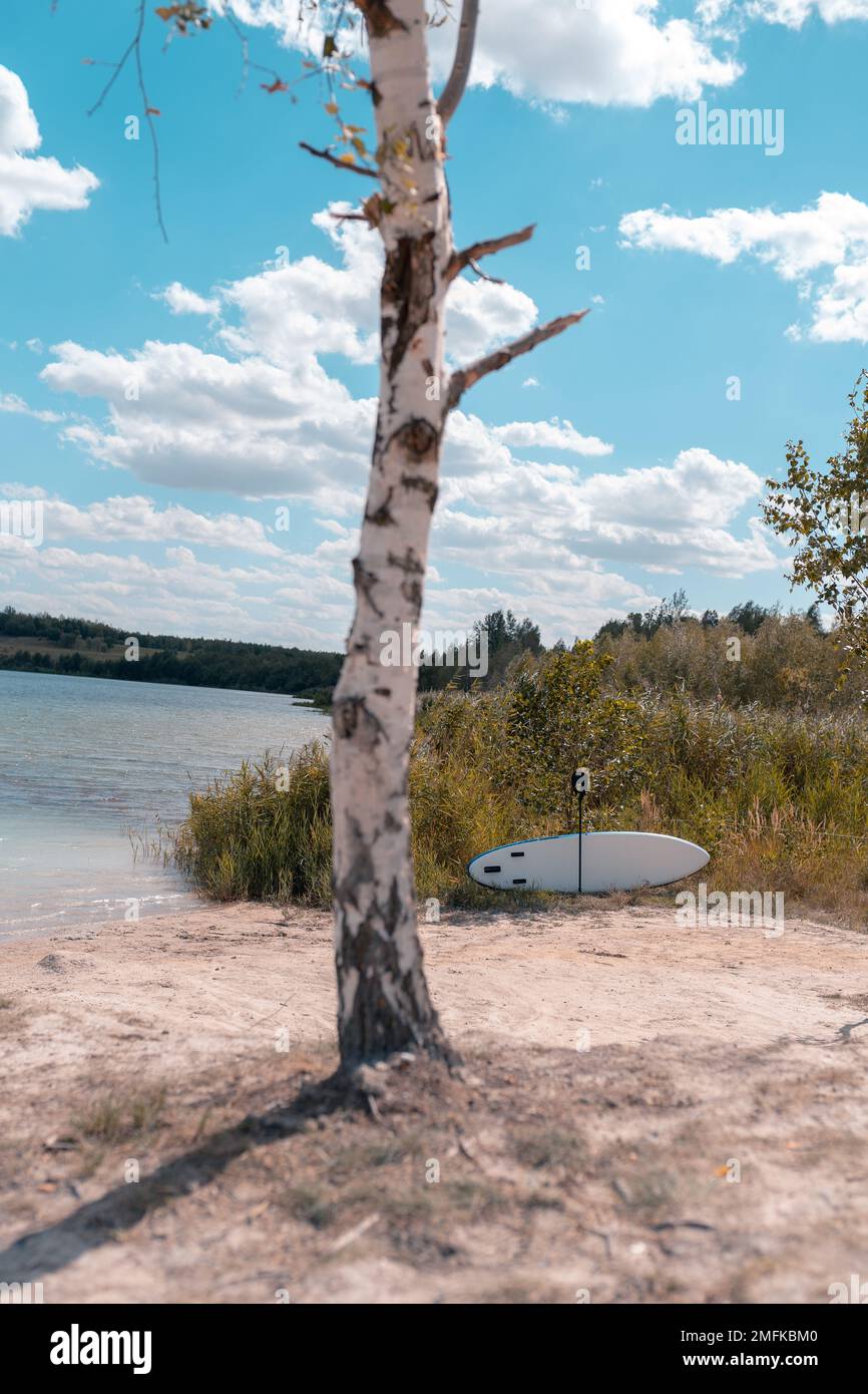 Beach, One Standup Paddle surfboard near a tree Stock Photo - Alamy