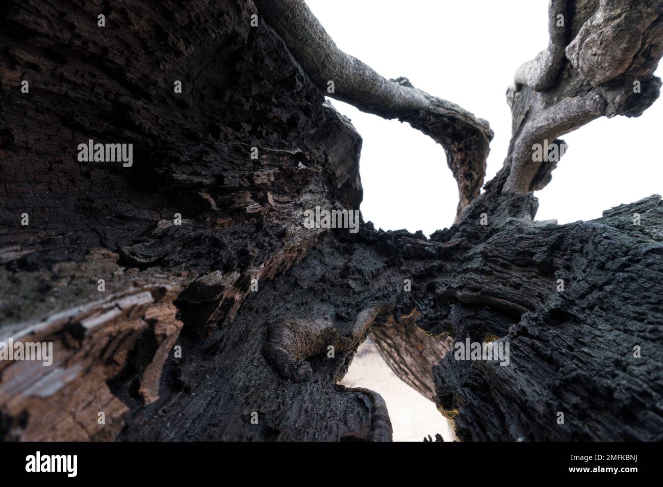 Change your perspective hi-res stock photography and images - Alamy