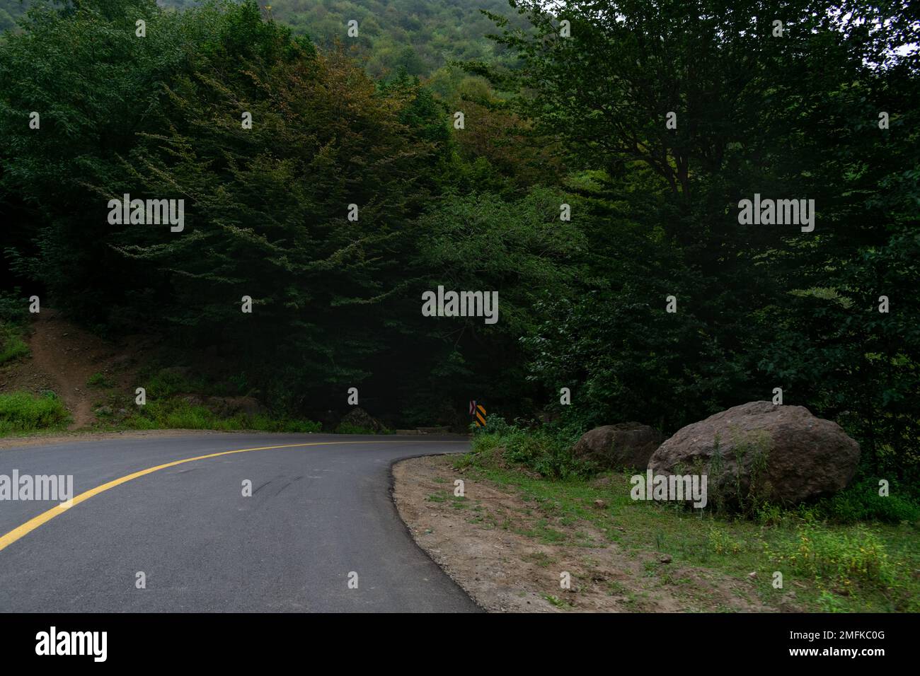 Trees on the side of mountain road among the mountains full of d Stock ...