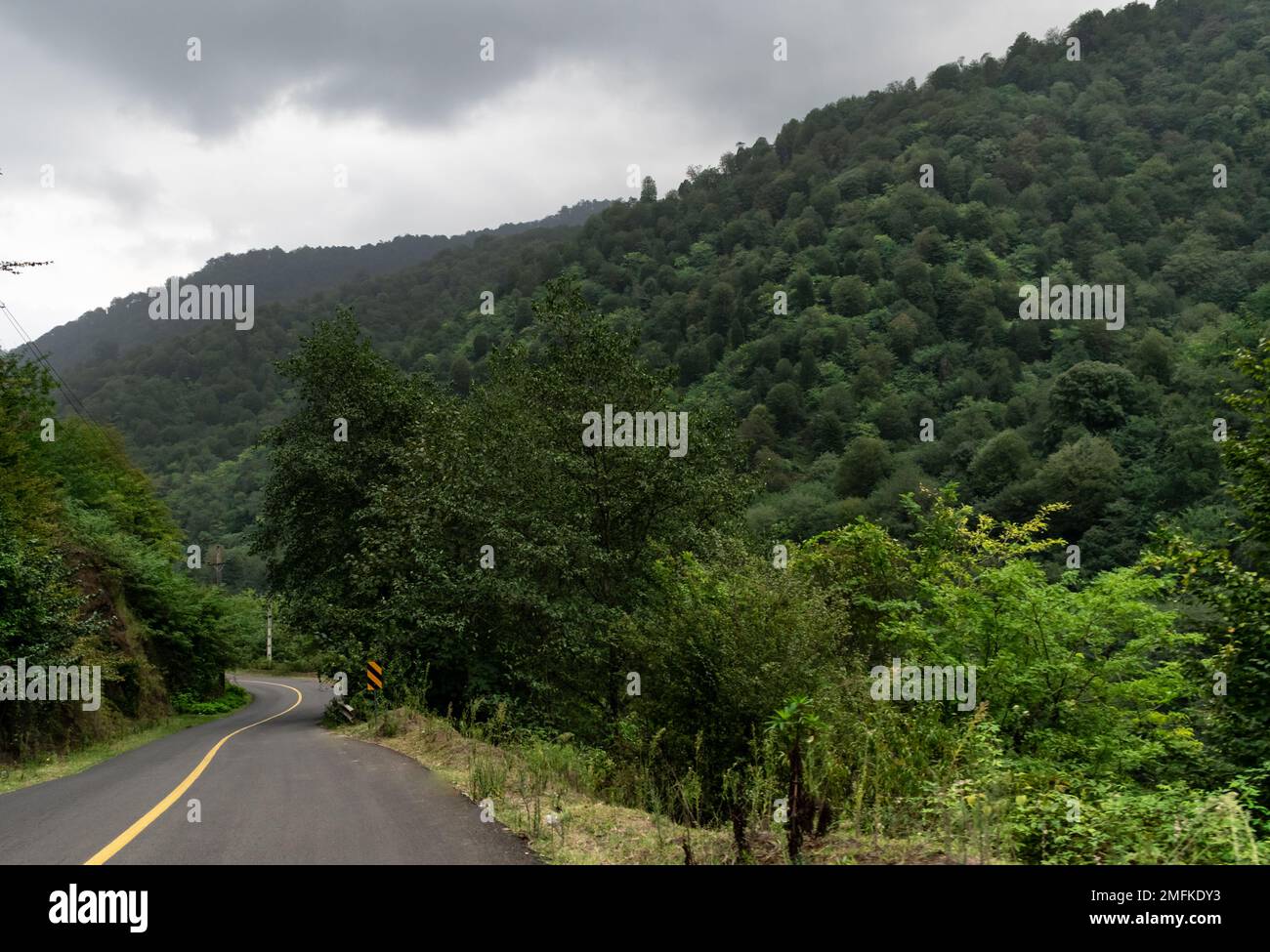 Trees on the side of mountain road among the mountains full of d Stock ...