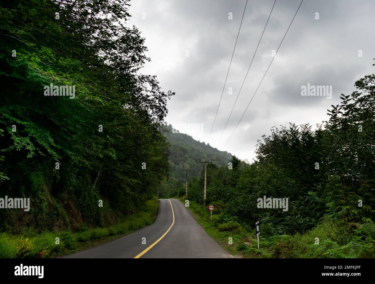 driving in mountain forest Stock Photo - Alamy