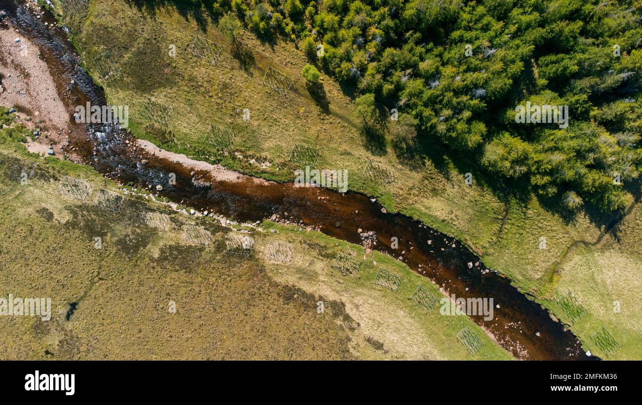 Aerial birds eye view of the River Muick and pine forest on the ...