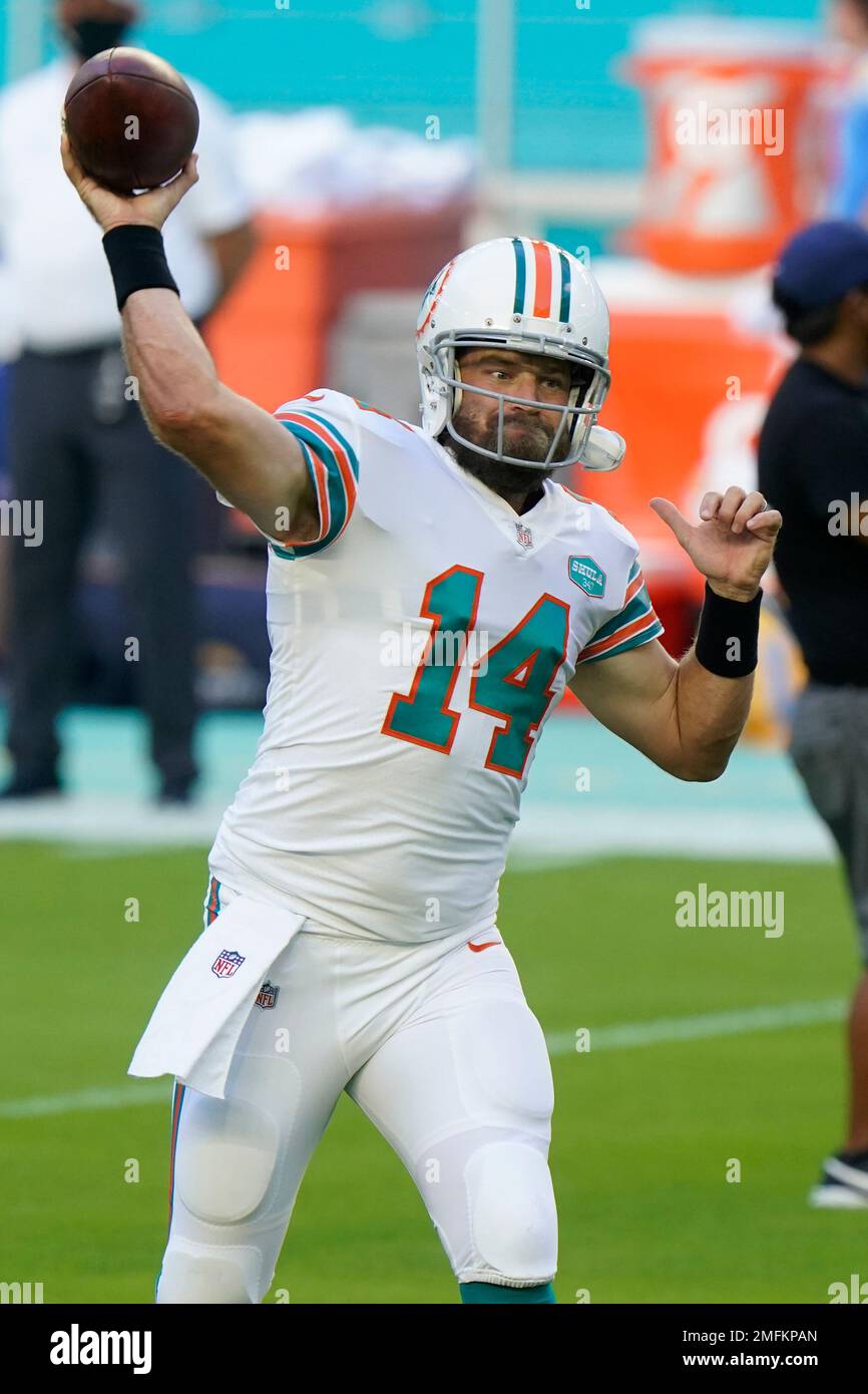 Miami Dolphins quarterback Ryan Fitzpatrick (14) warms up before an NFL ...