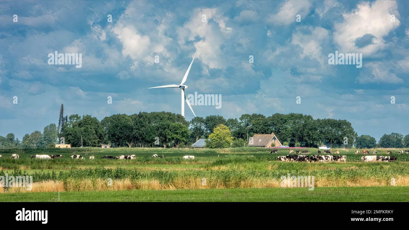 A windmill in a flat landscape near Koudum, Friesland, the Netherlands ...
