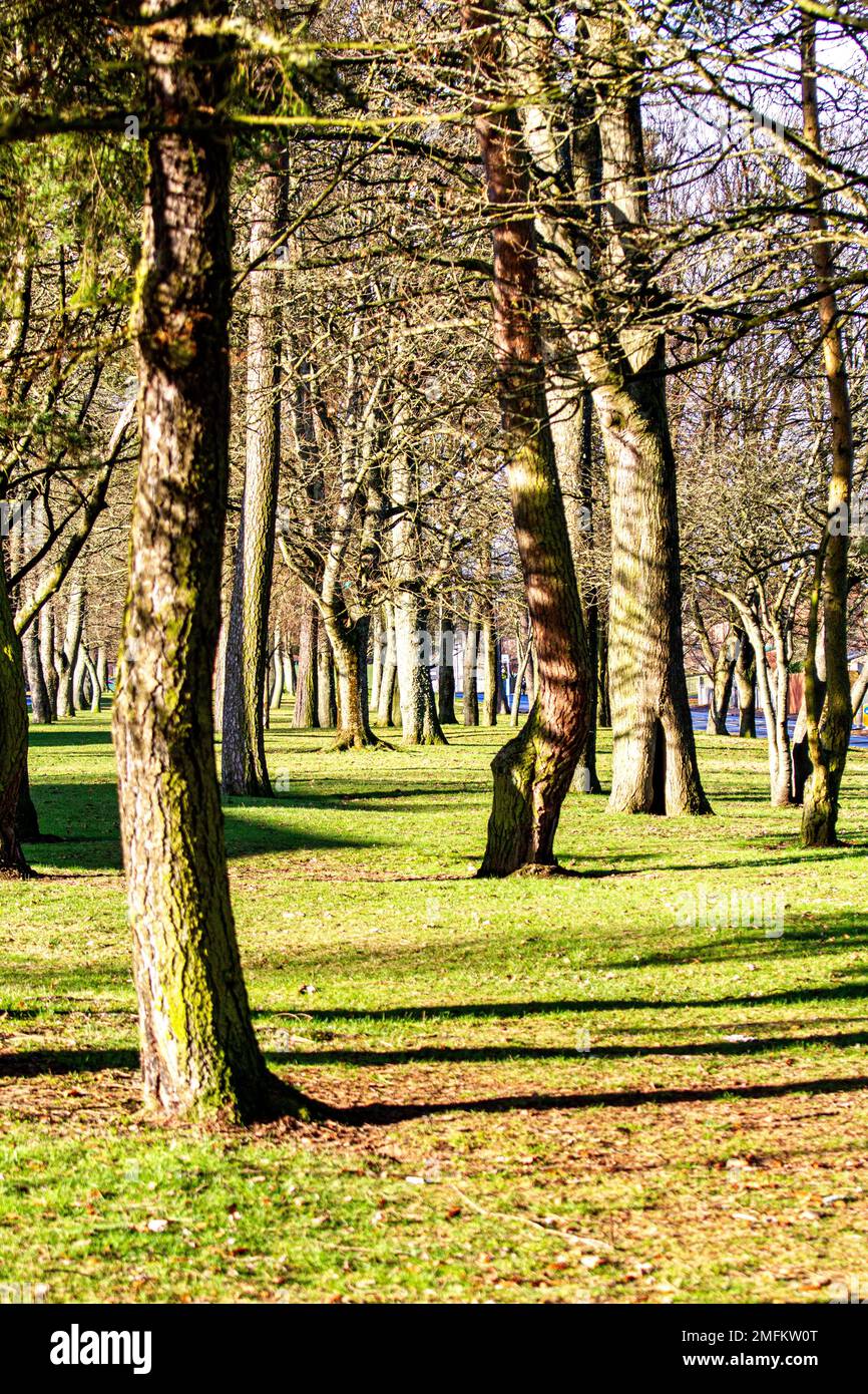 Mild january sunshine in dundee hi-res stock photography and images - Alamy