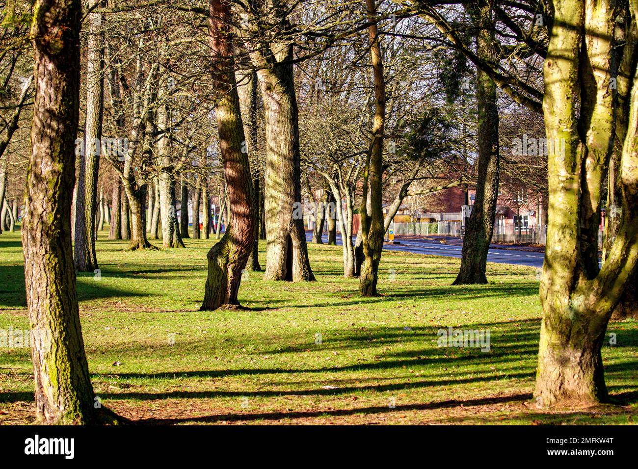 Mild january sunshine in dundee hi-res stock photography and images - Alamy
