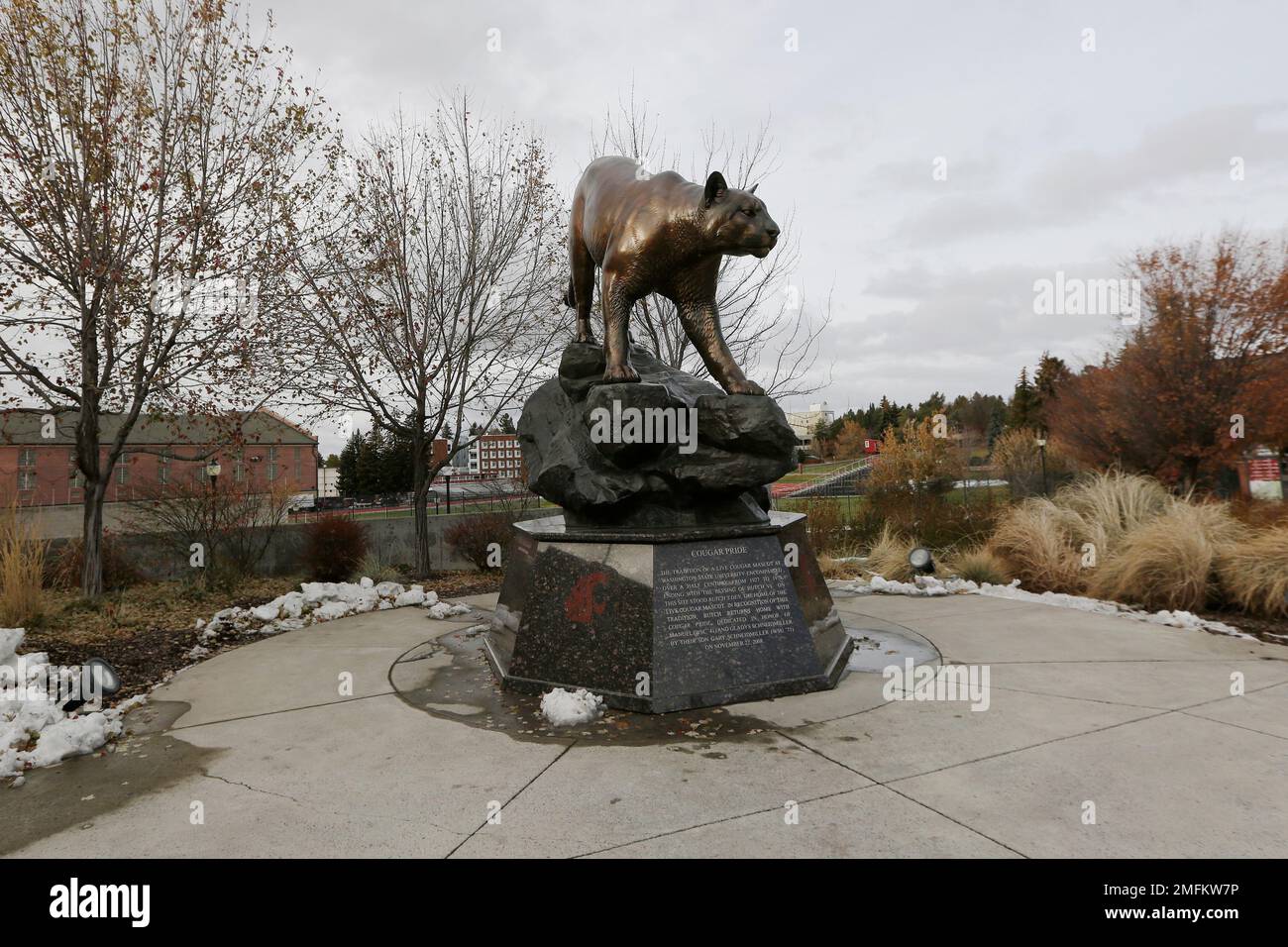 The "Cougar Pride" statue is seen at Martin Stadium on the Washington ...