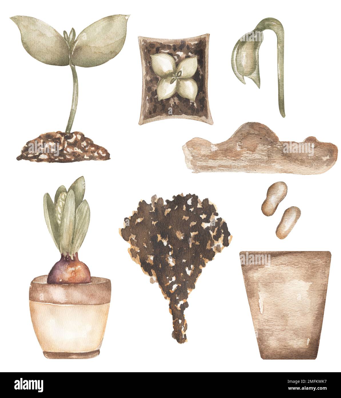 Watercolor hand drawn Garden Illustration set, peas seeds, soil ...
