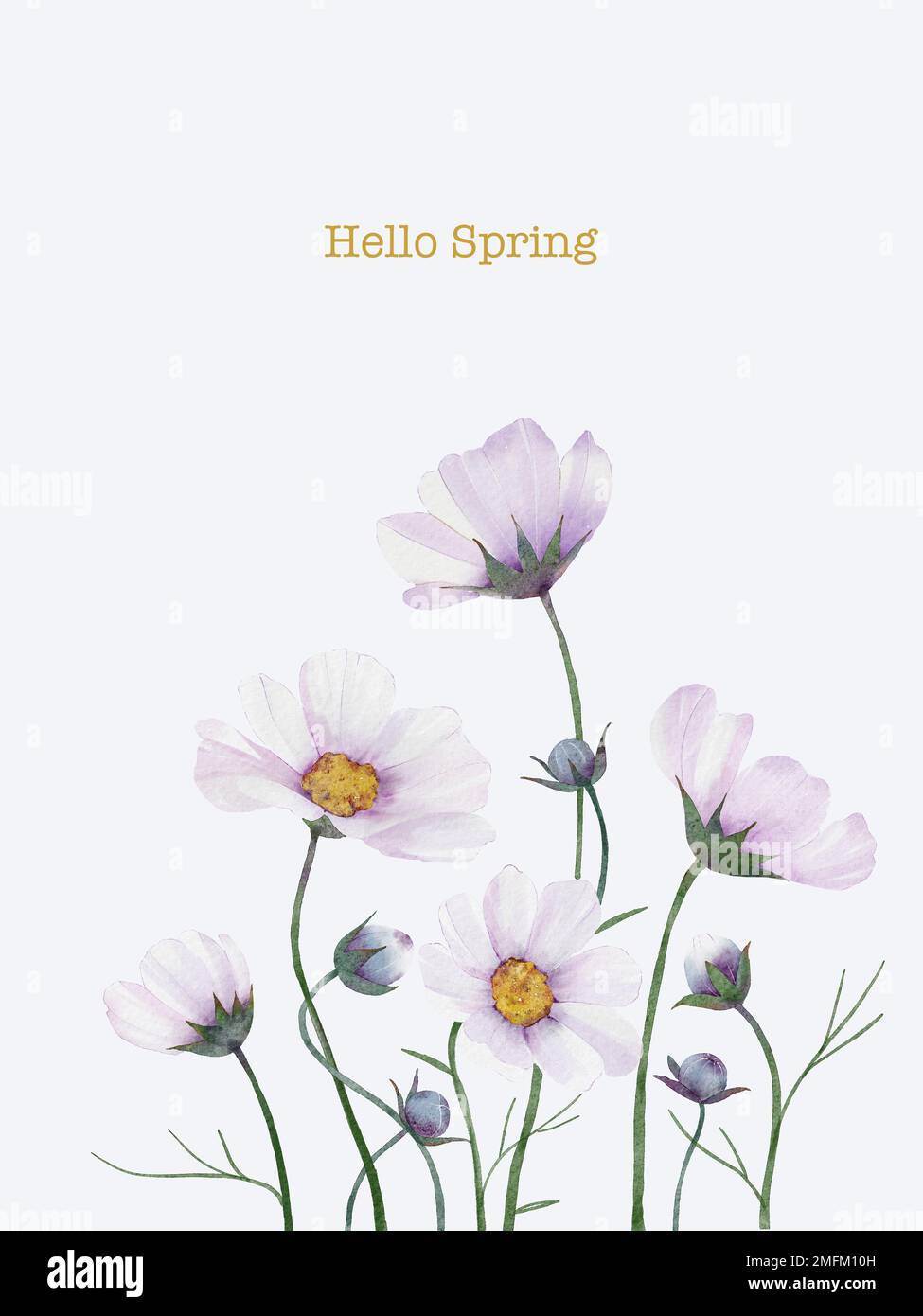 Watercolor flower background with hello spring gold text. Template of ...