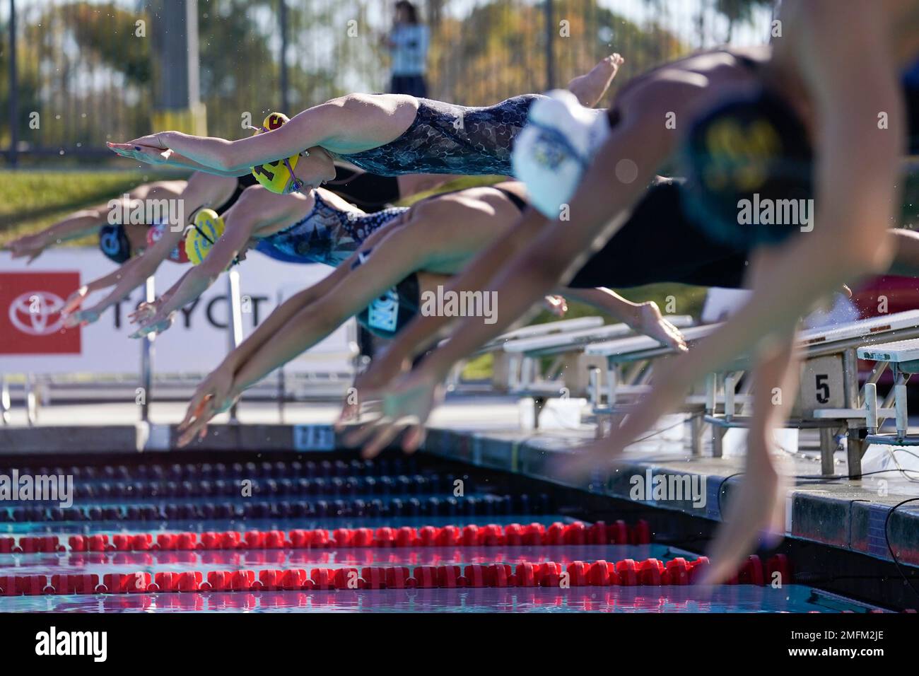 Swimmers dive into the pool for the women's 50-meter freestyle at the U ...