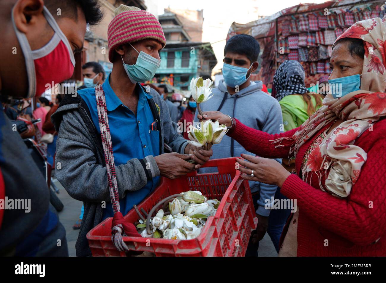 Nepalese people buy lotus flowers which is use to worship goddess Laxmi ...