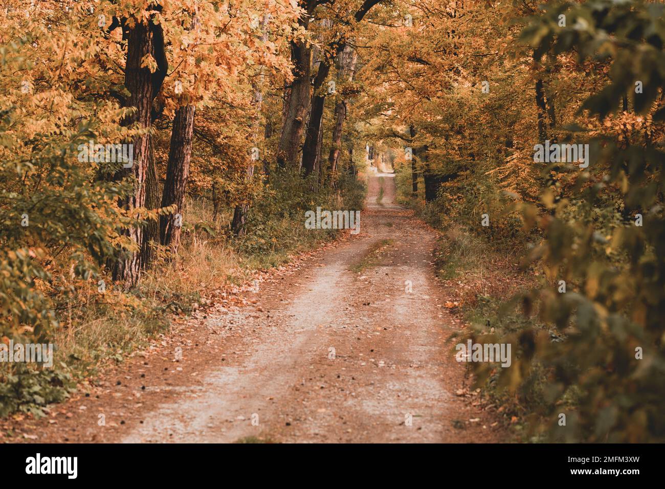 Colorful pathway hi-res stock photography and images - Alamy