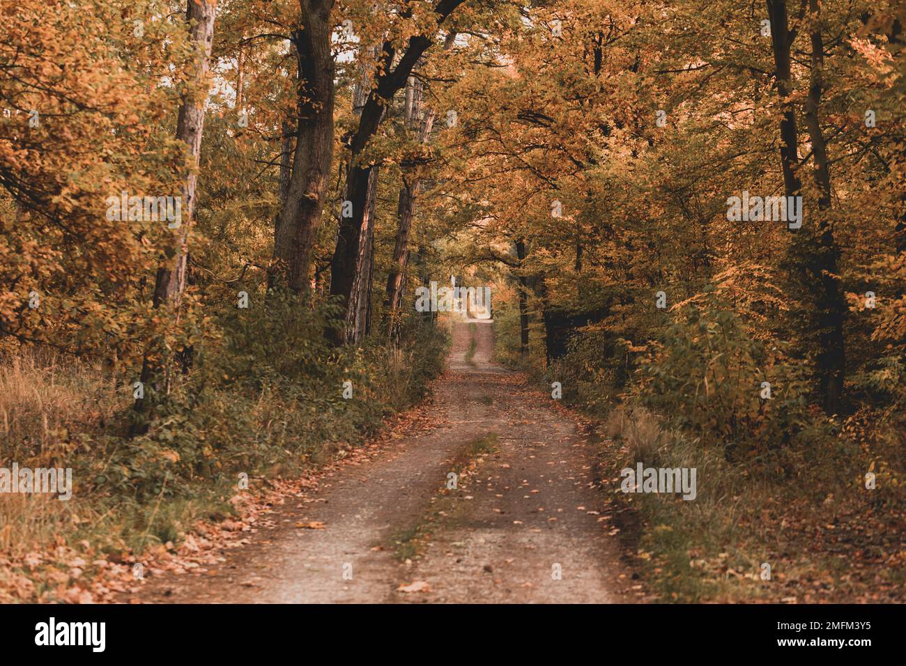 Colorful pathway hi-res stock photography and images - Alamy