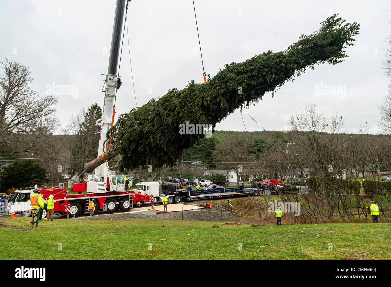 This year's Rockefeller Center Christmas tree, a 75-foot tall Norway ...