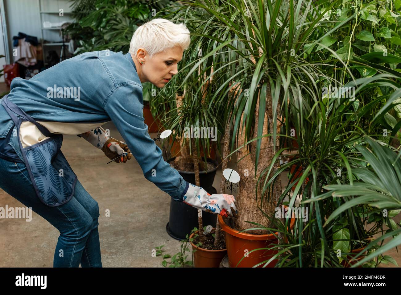 Gardeners hand planting flowers in pot. Preparing my garden Stock Photo ...