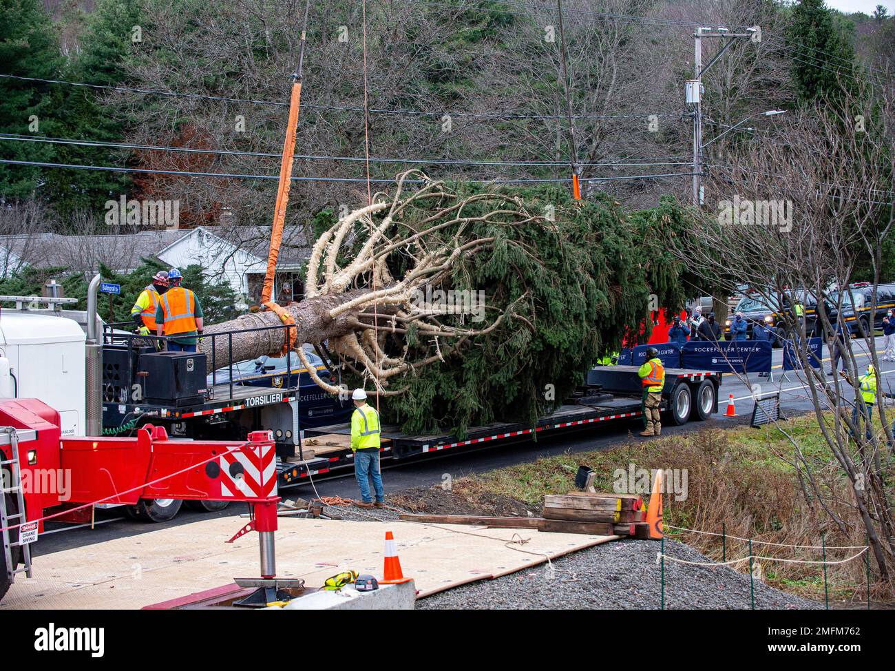 This year's Rockefeller Center Christmas tree, a 75-foot tall Norway ...