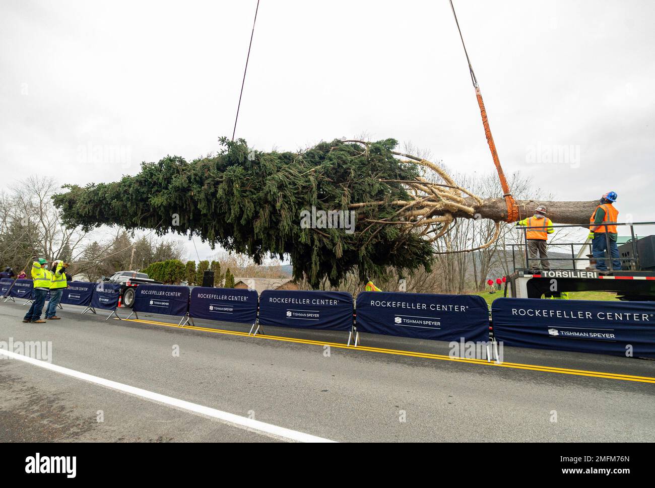This year's Rockefeller Center Christmas tree, a 75-foot tall Norway ...