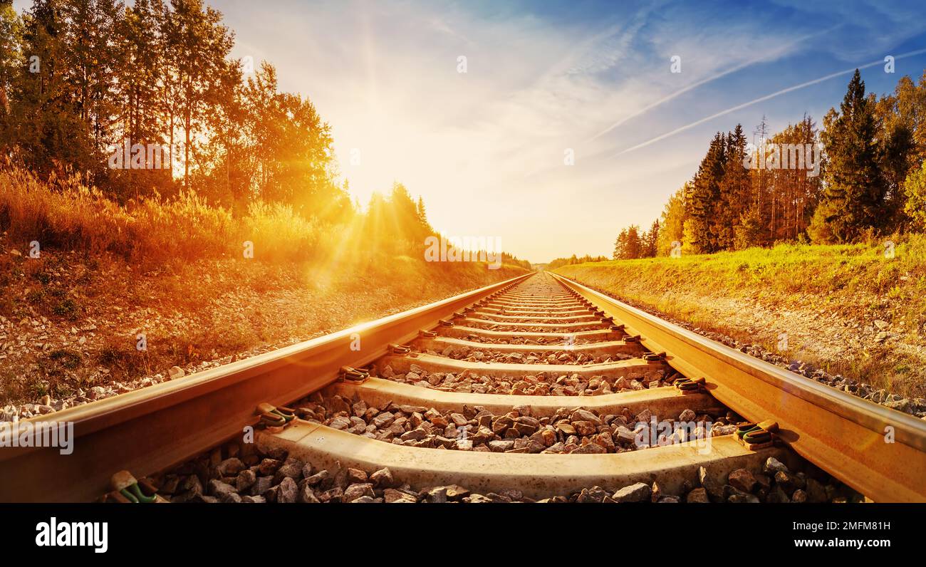 Perspective view of the railroad in countryside Stock Photo - Alamy