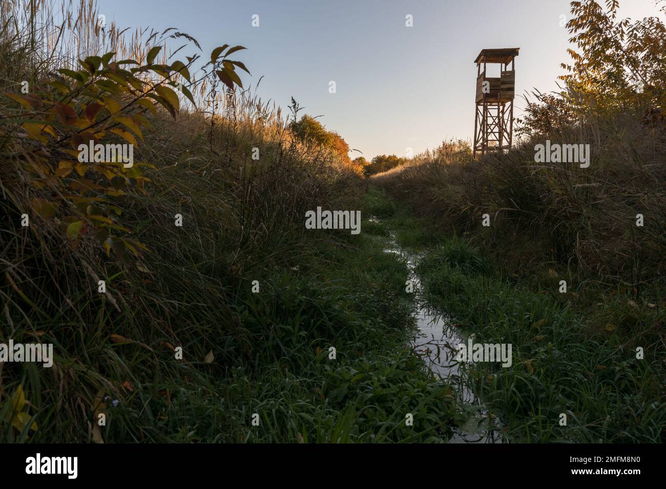 A stream flowing through a meadow, a hunting pulpit on a hill Stock ...