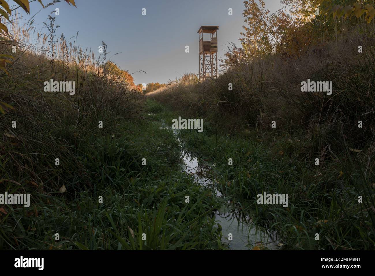 A stream flowing through a meadow, a hunting pulpit on a hill Stock ...